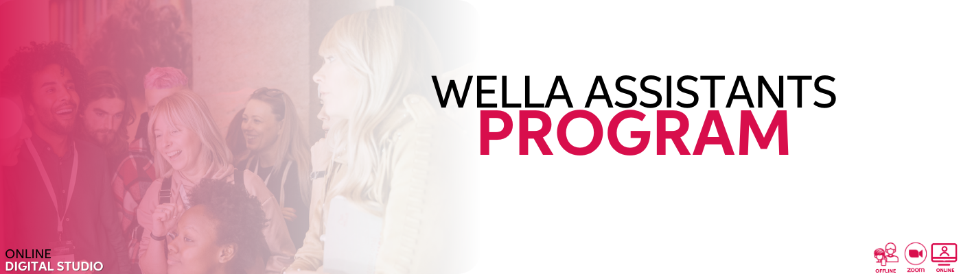 Wella Assistants Program 2024